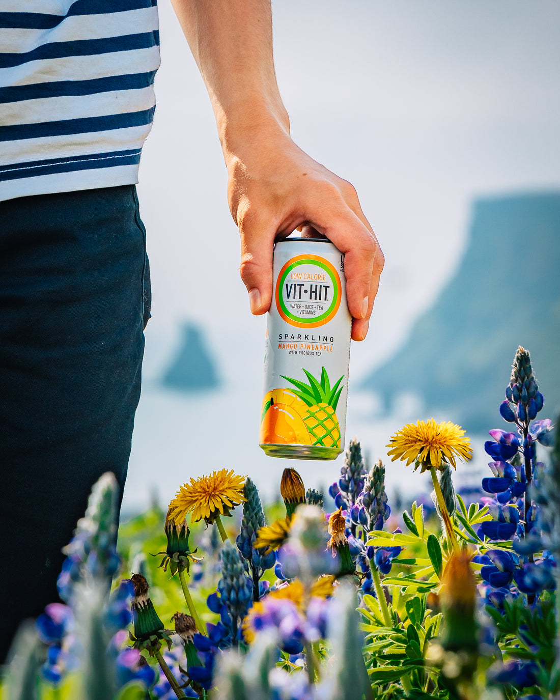 VITHIT Vitamin Drinks IE | Water + Juice + Tea + Vitamins – VITHIT ...